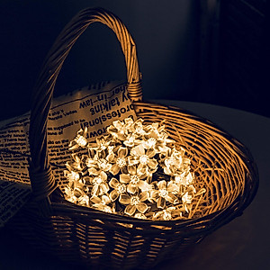 shinymolly 2 Pack Solar String Lights Outdoor Decoracion, 50 LED 21.3ft Warm White Waterproof Fairy Flower String Christmas Lights for Tree, Patio, Indoor Garden, Room, Holiday(50L-Warm White)