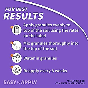 Bonide (BND951 - Systemic House Plant Insect Control, 0.22% Imidacloprid Insecticide (8 oz.), White (4)