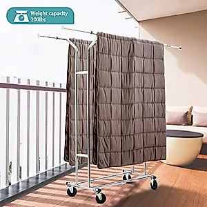 Auledio Clothes Garment Rack, Commercial Grade Clothes Rolling Heavy Duty Storage Organizer on Wheels with Adjustable Clothing Rack , Holds up to 250 lbs, Chrome (Two Heads)