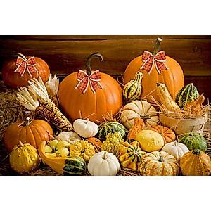 Estivaux Fall Ribbons for Crafting, Thanksgiving Wired Edge Ribbon Orange Buffalo Plaid Craft Ribbons Autumn Farmhouse Burlap Ribbon for Gift Wrapping Fall Thanksgiving Decorations Supplies