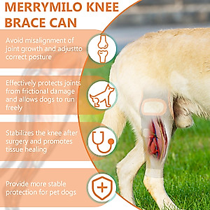 Dog Knee Brace Leg Braces with Side Stabilizers for Dogs Support for Torn ACL CCL Hind Leg, Knee Cap Dislocation, Cruciate Ligament Injuries, Patella Dislocation or Osteoarthritis （L）