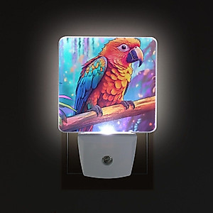 ZENWAWA Vivid Tropical Parrot Night Light Plug into Wall Decorative Auto Dusk to Dawn Sensor LED Night Lamp 2 Pack 3×4.5×1.4 in