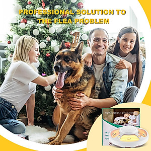 Kittmip 4 Pcs Flea Traps with 8 Sticky Discs for Inside Your Home Bug Killer Safe Flea Light Trap Safe to Pets Mosquito Trap Gnat Traps for UV Night Light Bug Catcher Attractant(White)