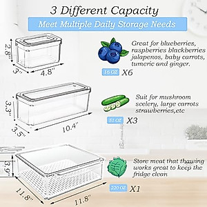 KUMD 10 Pack Fridge Organizers and Storage, Stackable Refrigerator Organizer Bins with Lids, BPA-Free Produce Fruit Storage Containers for Fridge Organizers, for Food, Drinks, Vegetable