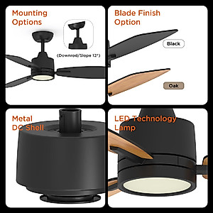 TALOYA 42 Inch Black Ceiling Fans with Lights Led Remote Control Flush Mount Low Profile for Bedroom Farmhouse Patio Outdoor Living Room Kitchen Dining Room,DC Motor,Reversible,3 Color Temperatures