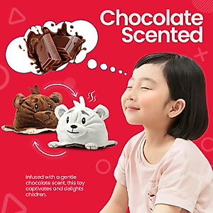 Reversible Toy Plush for Girls & Boys, Educational Mood Regulating Plushie Teddy Bear, Chocolate Scented Benji The Bear Realistic Stuffed Animal for Babies, Toddlers, Preschool, Kindergarten