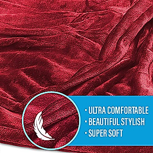 Electric Heated Throw Blanket Fleece with Controller, 50" x 60" , 4 Hours Auto Shut-Off, Fast Warming, Full-Body Comfort, Luxuriously Soft, Machine Washable (Red)