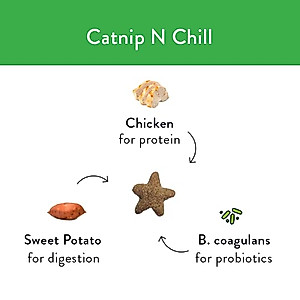 SHAMELESS PETS Catnip Treats - Crunchy Cat Calming Treats with Digestive Support, Sustainable Upcycled Natural Ingredients & Real Chicken, Low Calorie Healthy Feline Food - Catnip N Chill, 3-Pk