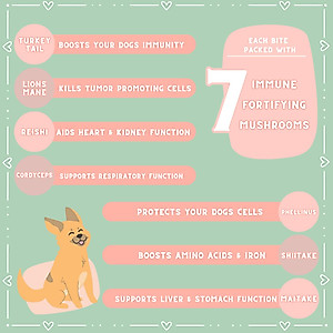 - Pup Shrooms - Mushroom Complex Soft Chews for Dogs - Lion's Mane, Turkey Tail, Shiitake - EPA, DHA, Turmeric and Organic Kelp - 160 Count - Boosts Immunity, Improves Digestion, Hip & Joint Support
