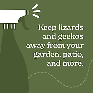 Vine Home Lizard Control Spray | 32 Ounce | Natural, Non-Toxic Lizard Repellent | Quick, Easy Pest Control | Safe Around Kids & Pets