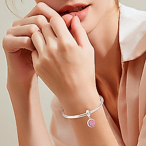 Annmors Pink Birthday Cake Dangle Charm for Woman-925 Sterling Silver Pendant Bead,Girl Jewelry Gifts for Women Bracelet&Necklace