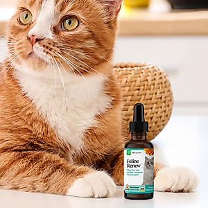 Ultimate Pet Nutrition Feline Renew, Advanced Omega-3 Immune, Joint, and Skin Connective Tissue Support Supplement for Cats, 30 Servings