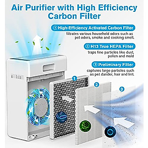Air Purifiers for Home Large Room, MOOKA H13 True HEPA Filter Air Cleaner for Dust Allergies Pets Dander Pollen Smoke Odor, 100% Ozone Free Quiet Air Cleaner for Home, Bedroom and Office