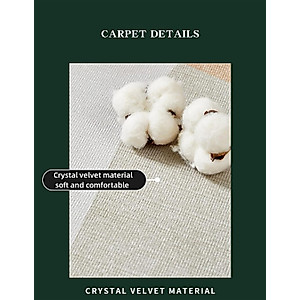 100 Dollar Bill Rug Art Money Carpet Cozy Soft Bedroom Carpets Living Mat Decoration Bathroom Be Absorbent Rug Rugs Room Door Mat (E, 23.6 * 35.4 in)