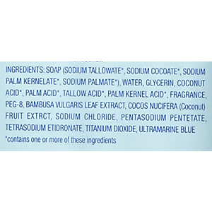 Dial Skin Care Bar Soap, Coconut Water, 4 Ounce (Pack of 3)