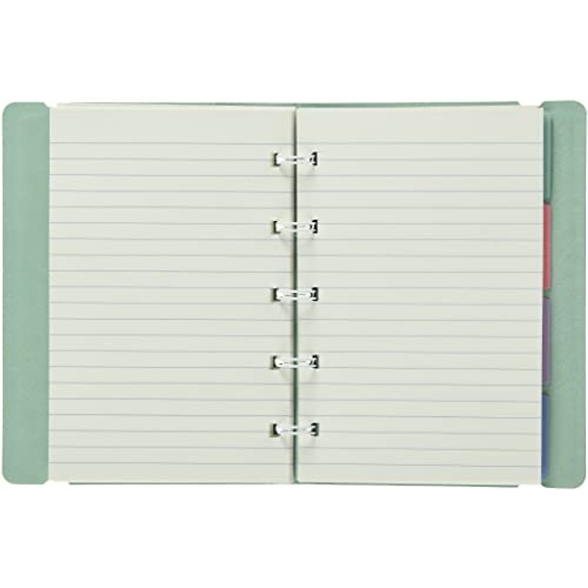 Filofax 115066 Classic Pocket Notebook, Mint