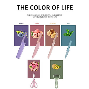 Colorful Kitchen Knives Set of 6 PCS Cute Fruit Knife Set with Gift Box,High Carbon Steel Kitchen Knife Set without Block, Environmental Wheat Straw Material Handle, Sharp Professional Chef Knife