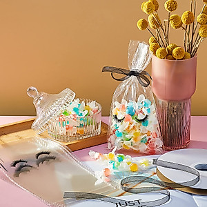 100 Pieces Eyelash Aftercare Bags Lash Bags Eyelash Packaging Bags Makeup Aftercare Bags Cosmetic Clear Empty Bag Mini Cosmetic Bags with a Hard Yarn Ribbon for Women,5 x 9 Inch(Black)