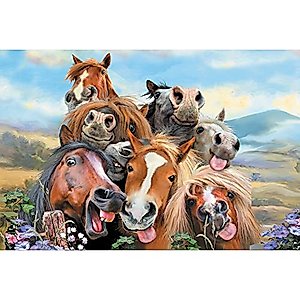 Tree-Free Greetings EcoNotes 12 Count Horses Selfie All Occasion Notecard Set with Envelopes, 4 x 6 Inches (FS56896)