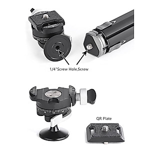 Portable Desktop Mini Tripod, Professional Mini Tripod with Panoramic Ball Head for Action Sports Camera Mirrorless Camera