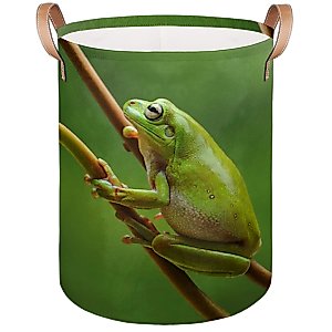 Tree Frog Collapsible Laundry Basket Large Laundry Hamper Waterproof Foldable Storage Bins Laundry Basket with Leather Handles Clothes Nursery Hampers for Bathroom Bedroom Toy Organizer