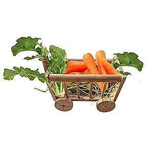 Shuoxpy Rabbit Hay Feeder Rack, Guinea Pig Wooden Carriage Hay Feeder, Chinchilla Alfalfa Timothy Hay Dispenser, Less Wasted Small Animals Hay Manger for Rabbits Guinea Pig Chinchilla