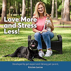 Kinderbean Dog & Cat Urine Stain and Odor Eliminator for Carpet, Upholstery, Hard Floors - Single 24 oz., Grapefruit Tea Tree Scent, Enzyme Bio-Active Formula with Squeeze and Spray Top