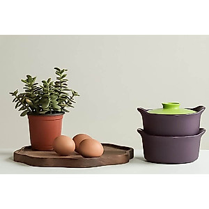 Pamire Silicone Microwave Egg Steaming Pot Steamer Egg Cooker (Green)