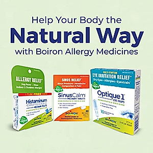 Boiron AllergyCalm On The Go for Relief from Allergy and Hay Fever Symptoms of Sneezing, Runny Nose, and Itchy Eyes or Throat - 2 Count (160 Pellets)
