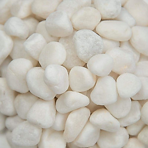 MSI Decorative Tumbled White Pebbles, 0.25 inch - 0.75 inch, 40 lb. Bag