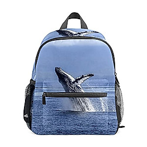 Girls Cute Mini Backpack Humpback Whales Natural Landscape Jumping Sea Small Backpack School Bag Lightweight Preschool Backpacks Fashion Backpack Purse for Women Travel Bag Daypack for Girls Boys
