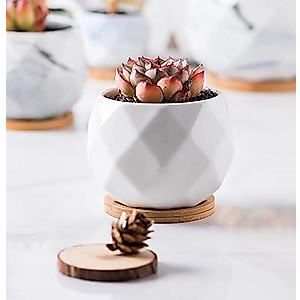 Jucoan 6 Pack Ceramic Succulent Planter Pot with Bamboo Tray, 4 Inches Small White Diamond Shaped Cactus Herb Flowers Planter with Drainage Hole