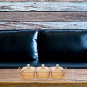 Cabilock Serving Bowls Condiment Serving Tray 3 Clear Appetizer Bowls Set with Iron Rack Chip Dips Snack Dish Buffet Server Food Display Relish Platter for Fruit Dessert Nuts Candy Decorative Tray