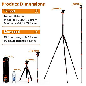 GEEKOTO Tripod, Camera Tripod for DSLR, Compact Aluminum Tripod with 360° Ball Head, 77 Inch Professional Tripod with 1/4 Inch Quick Release Plate, for Video Conferencing, Travel and Work