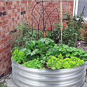 FORTUNO Round Galvanized Raised Garden Bed Kit Box 4 FT (2 Pack) Metal Outdoor Flower Bed Steel Patio Ground Planter for Planting Vegetables and Herb, Silver