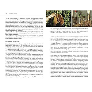 Edible Wild Plants: A North American Field Guide to Over 200 Natural Foods