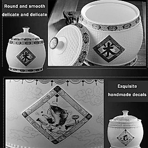 YISHUOYZBS Food Storage Containe Rice Storage Containe Classic Airtight Grain Jar with Lid Large-Capacity Ceramic Rice Bucket Hand-Made Cereal Dispensers in The Kitchen Home Decoration-12.5KG