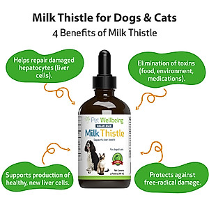 Pet Wellbeing Milk Thistle for Dogs & Cats - Supports Liver Health, Protects Liver - Glycerin-Based Natural Herbal Supplement - 4 oz (118 ml)