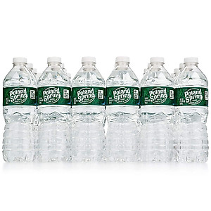 Poland Spring Natural Mineral Water 16.9 oz. 24 pk. (2 cases)