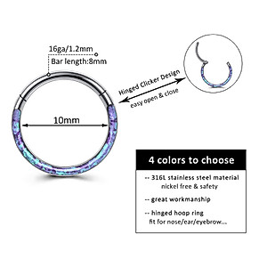Uzgtvy Septum Ring Jewelry 16G Stainless Sugical Steel Septum Hinged Segment Seamless Clicker Nose Nostril Ring Belly Button Hoop Daith Rook Cartilage Helix Tragus Earring Piercing Jewerly Women Men