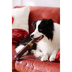 Tamu style Funny Dog Toy with Interactive Squeaky Sound and Plush Cotton Filled Softness for Small, Medium, and Large Puppies and Dogs, Fun Novelty Play