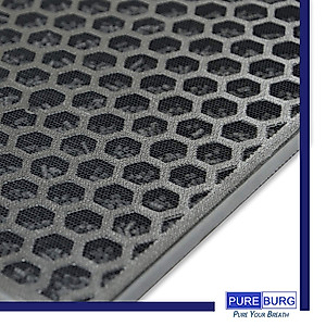 PUREBURG Replacement Filter Set Compatible with RabbitAir BioGS 2.0 Ultra Quiet Model SPA-550A & SPA-625A Air Purifiers,2-Pack H13 True HEPA + Activated Carbon Filter