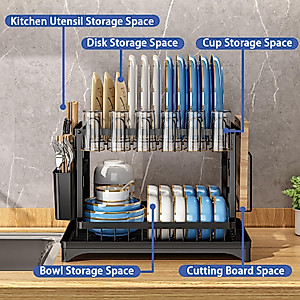 Stoigeld 2-Tier Dish Drying Rack with Utensil Holder,Stainless Steel Dish Rack with Drainboard for Kitchen Counter,Kitchen Organizers and Storage Rack (Black)