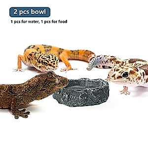 GKPONSX 2 Pack Reptile Food Bowls, Imitating Rock Design Water Dish and Feeder Food Bowls with Tongs Bug Scooper for Leopard Gecko Snake Lizard Turtle Chameleon