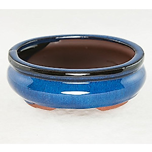 Oval Mame Shohin Bonsai / Cactus & Succulent Pot + Mesh 6"x 5"x 2" - Dark Blue Stain
