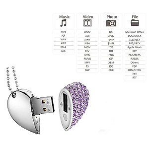 GARRULAX USB Flash Drive, 8GB / 16GB / 32GB / 64GB USB2.0 USB Memory Stick Date Storage Pendrive Thumb Drives(64GB,Purple)