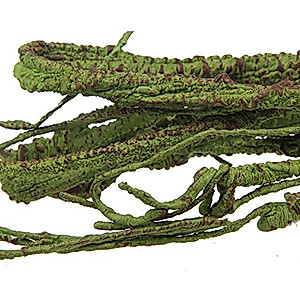 emours Flexible Realistic Jungle Vines Pet Habitat Decor for Lizard,Frogs, Snakes,Chameleons and More Reptiles, 3.6ft Long