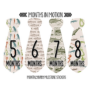 Months In Motion Monthly Baby Tie Stickers - Boy Month Milestone Necktie Sticker - Onesie Month Sticker - Infant Photo Prop for First Year - Shower Gift - Newborn Keepsakes - Fish Fishing