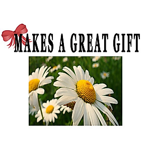 Flower Daisy Floral Kitchen Glass Cutting Board Decorative Gift For Mom Daisies Design