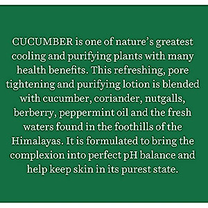 Biotique Bio Cucumber Pore Tightening Toner with Himalayan Waters for Normal to Oily Skin -120 ML/ 4.06Fl.Oz. I Help from Harmful Effects of Sun I Berberis aristata, Cucumis sativus